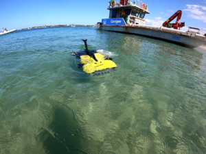 Restoring our reefs and oceans - Reef Research