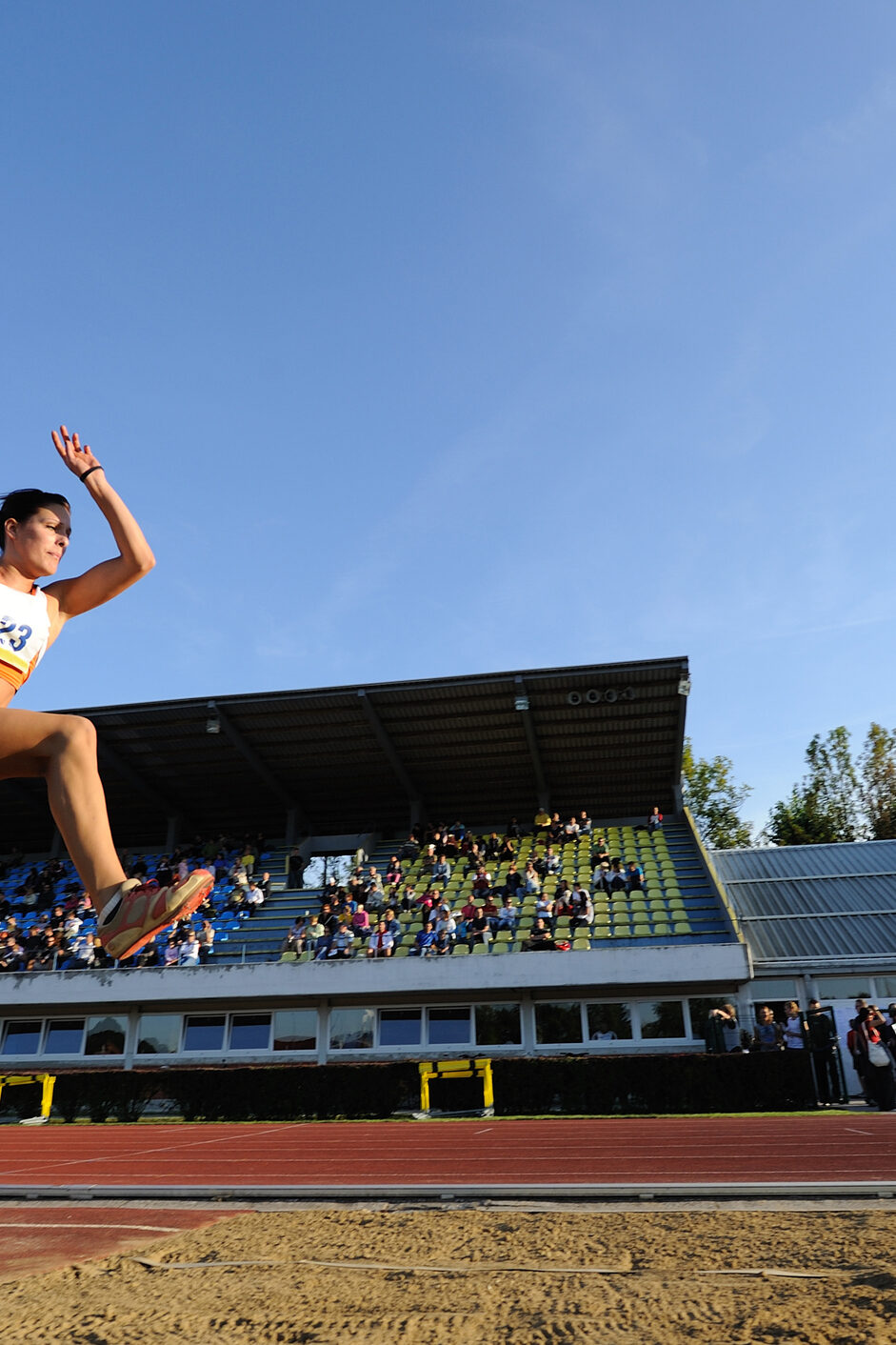 Run-up strategies in competitive long jumping: How an ecological ...