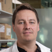 People - Surface Science and 2D Materials