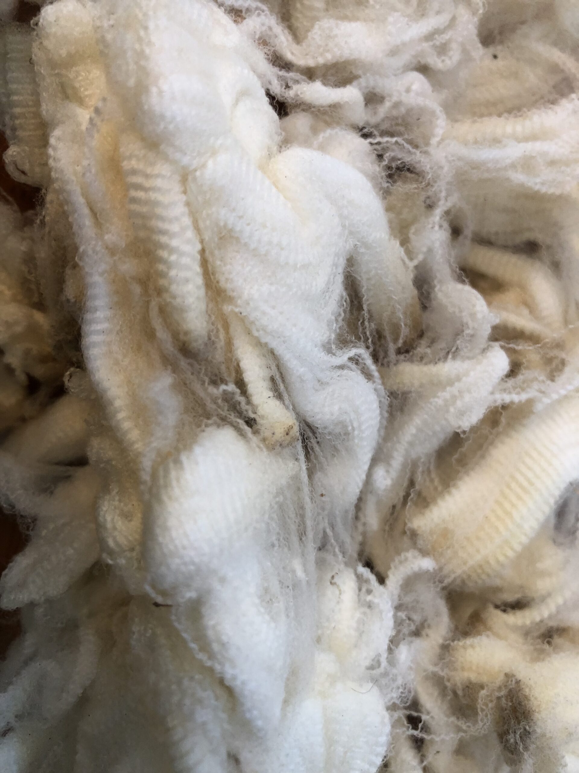 Wool - TextileR: Future Textile Industries