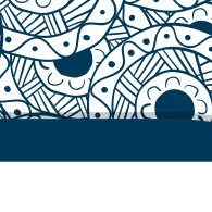 Congratulations to the 2017 CSIRO Indigenous STEM award winners! | YuMi ...